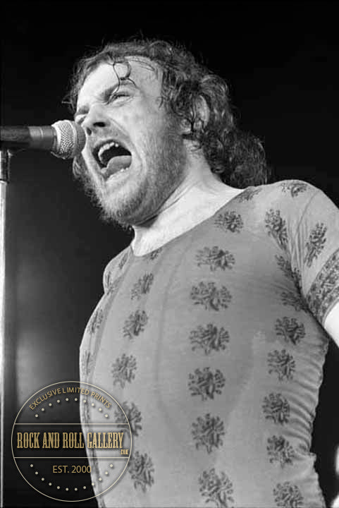 Joe Cocker – Rock and Roll Gallery